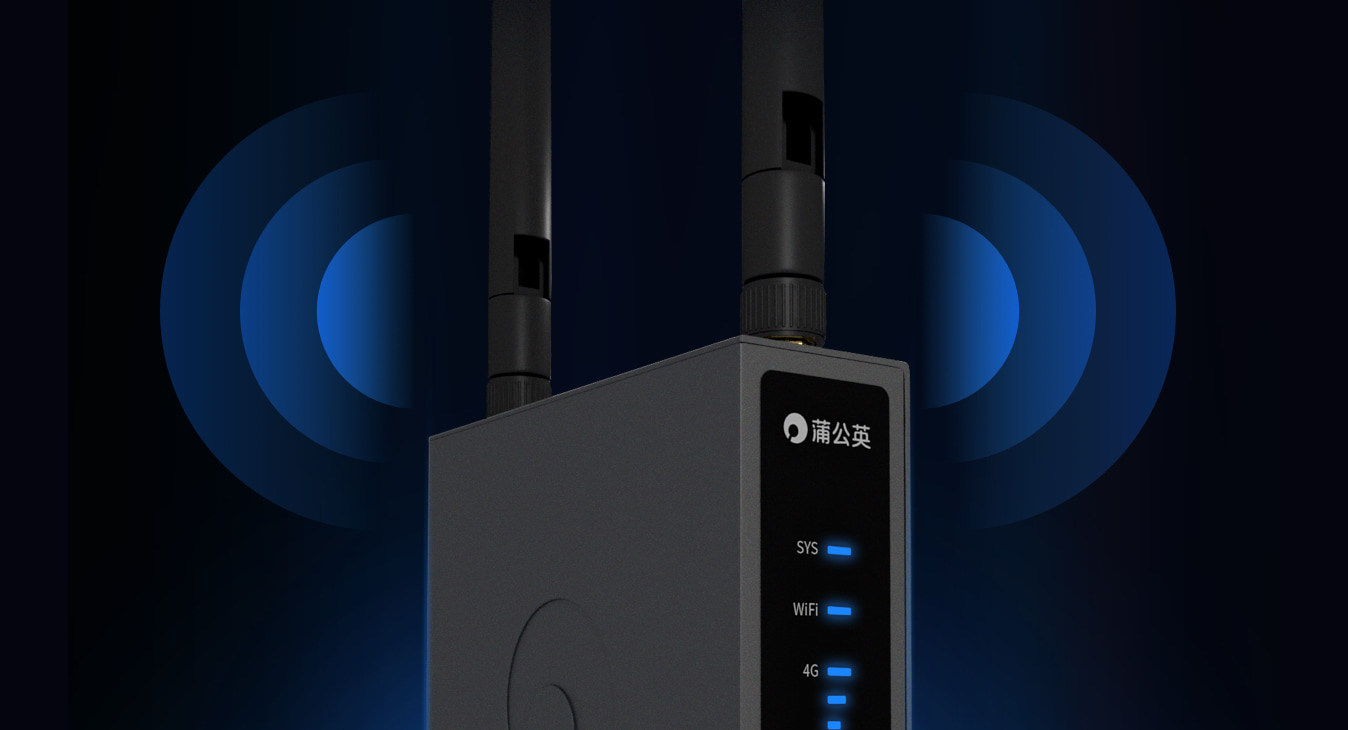 蒲公英R300系列 - 蒲公英SD-WAN官网